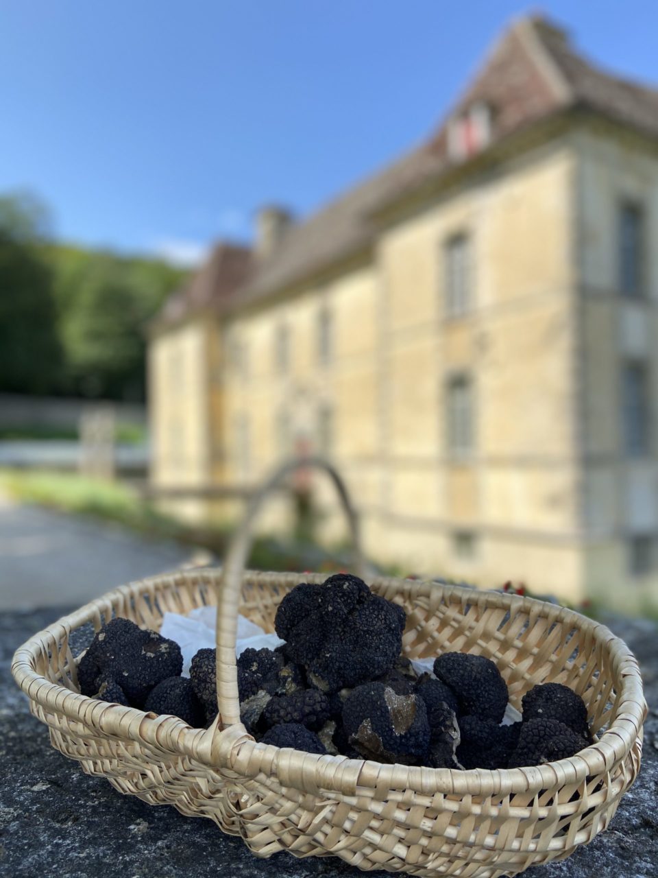 Truffes de Bourgogne - Château d'Entre-Deux-Monts